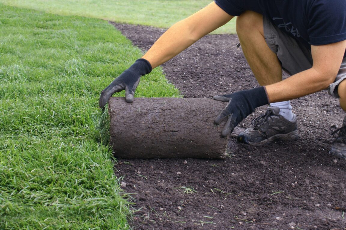 Buttrose Landscape & Garden Supplies | Huge Range & Delivery