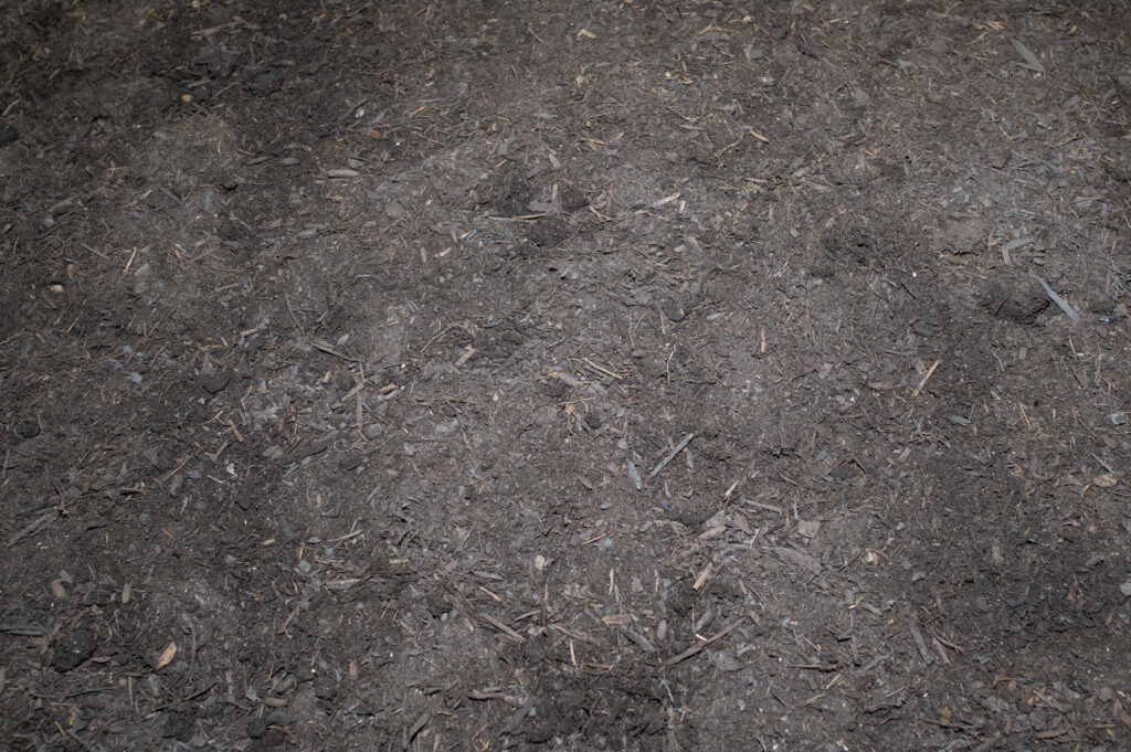 Forest Mulch - Buttrose Landscape & Garden Supplies