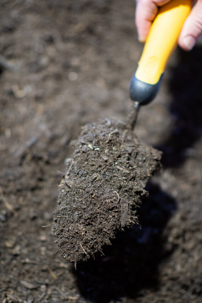 Forest Mulch - Buttrose Landscape & Garden Supplies