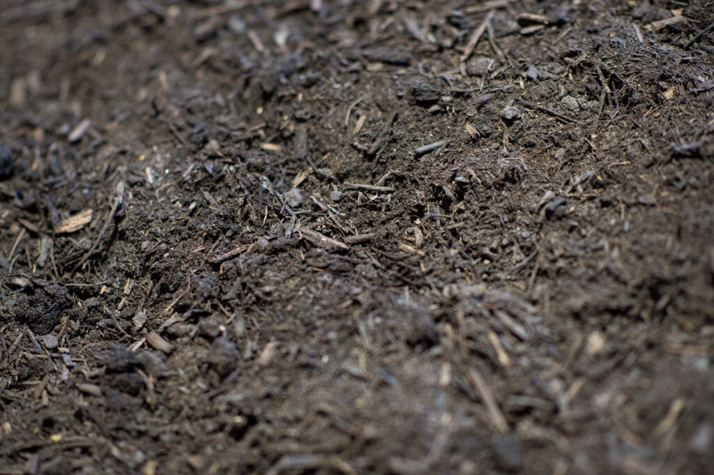 Forest Mulch - Buttrose Landscape & Garden Supplies
