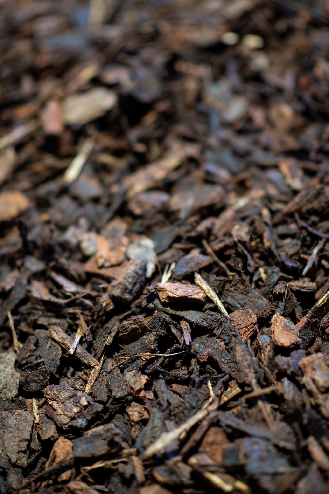 Pine Bark 25mm - Buttrose Landscape & Garden Supplies
