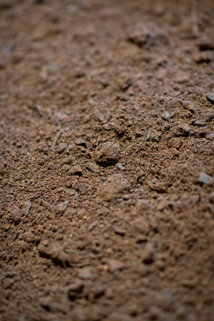 Buttrose Special Loam - Buttrose Landscape & Garden Supplies
