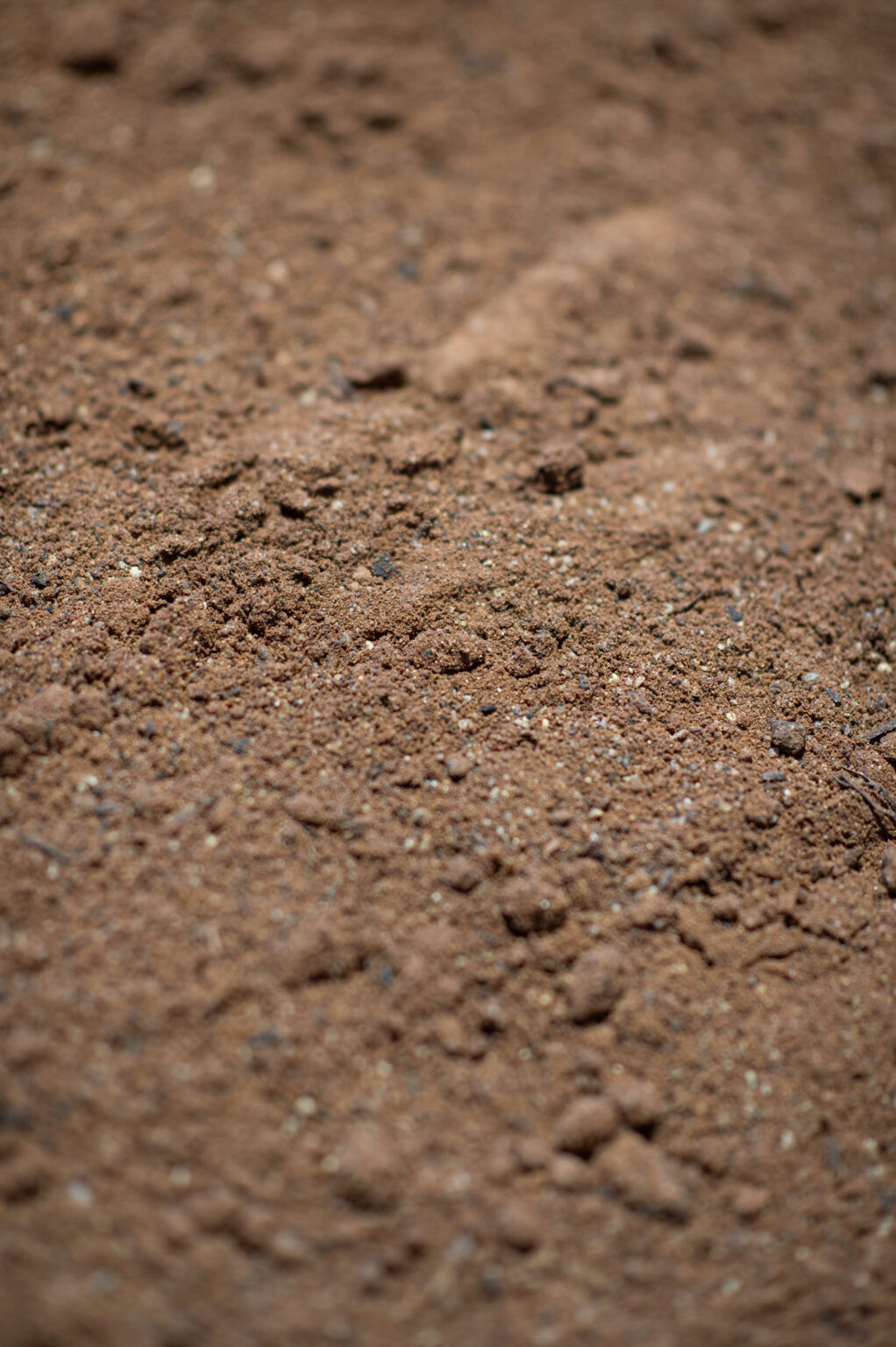 Organic Loam - Buttrose Landscape & Garden Supplies