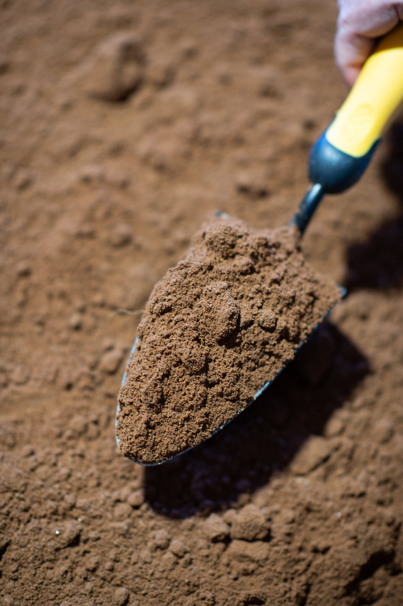 Sandy Loam - Buttrose Landscape & Garden Supplies