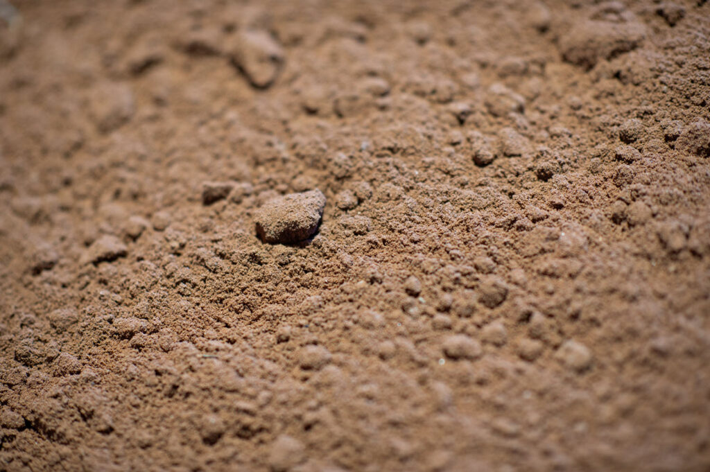 Sandy Loam - Buttrose Landscape & Garden Supplies