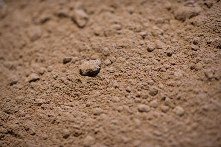 Sandy Loam - Buttrose Landscape & Garden Supplies