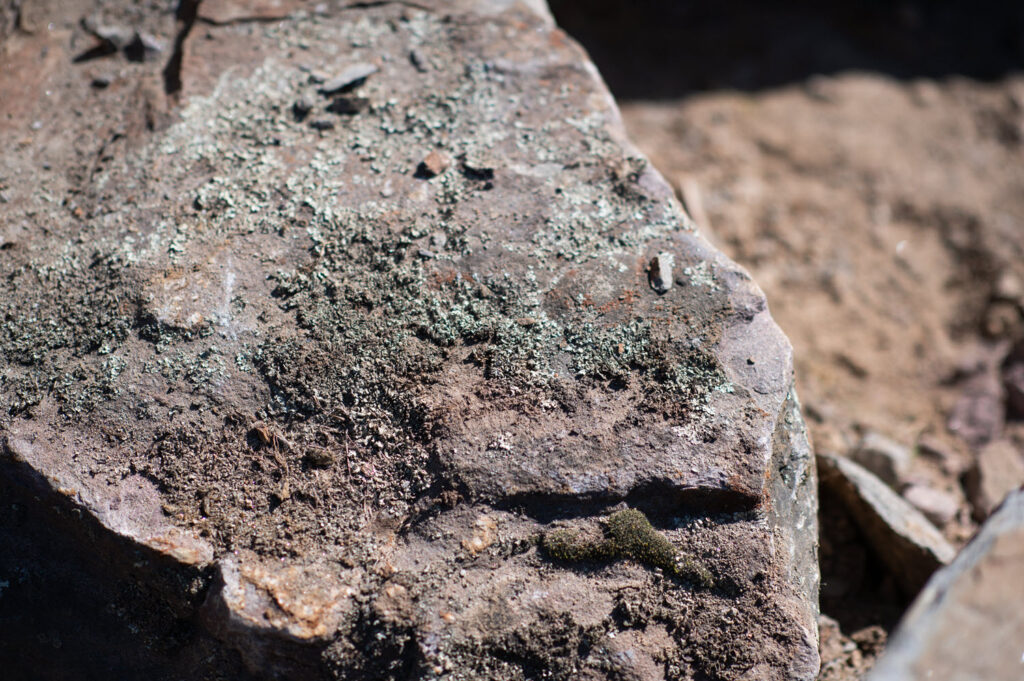 Moss Rock - Buttrose Landscape & Garden Supplies