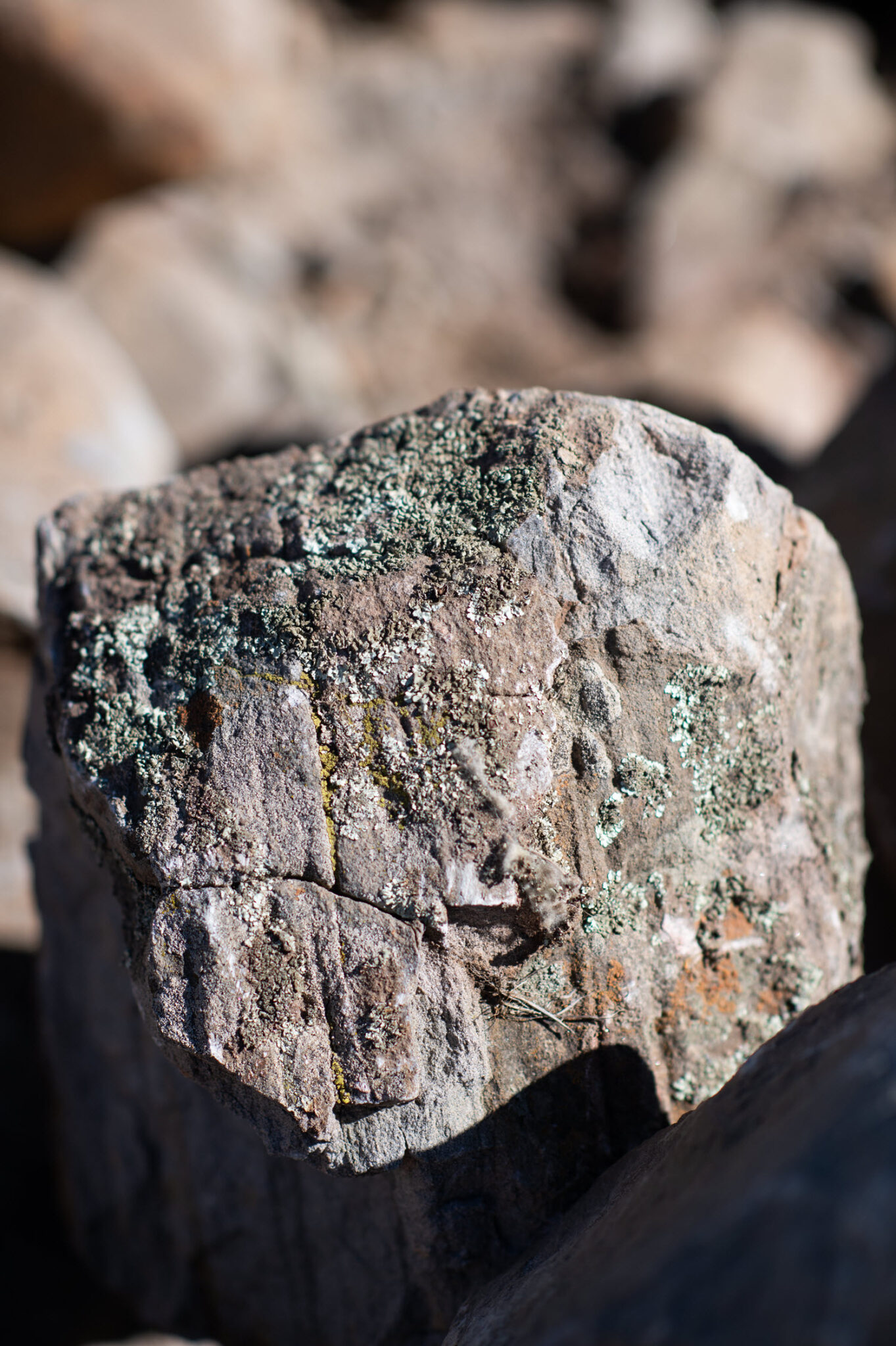 Moss Rock - Buttrose Landscape & Garden Supplies