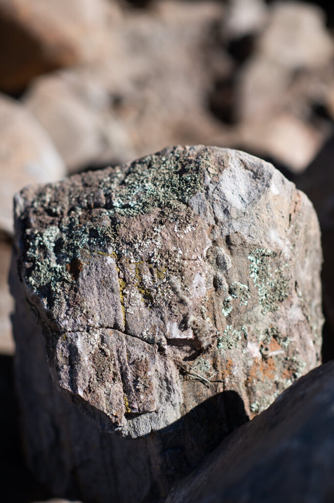 Moss Rock - Buttrose Landscape & Garden Supplies