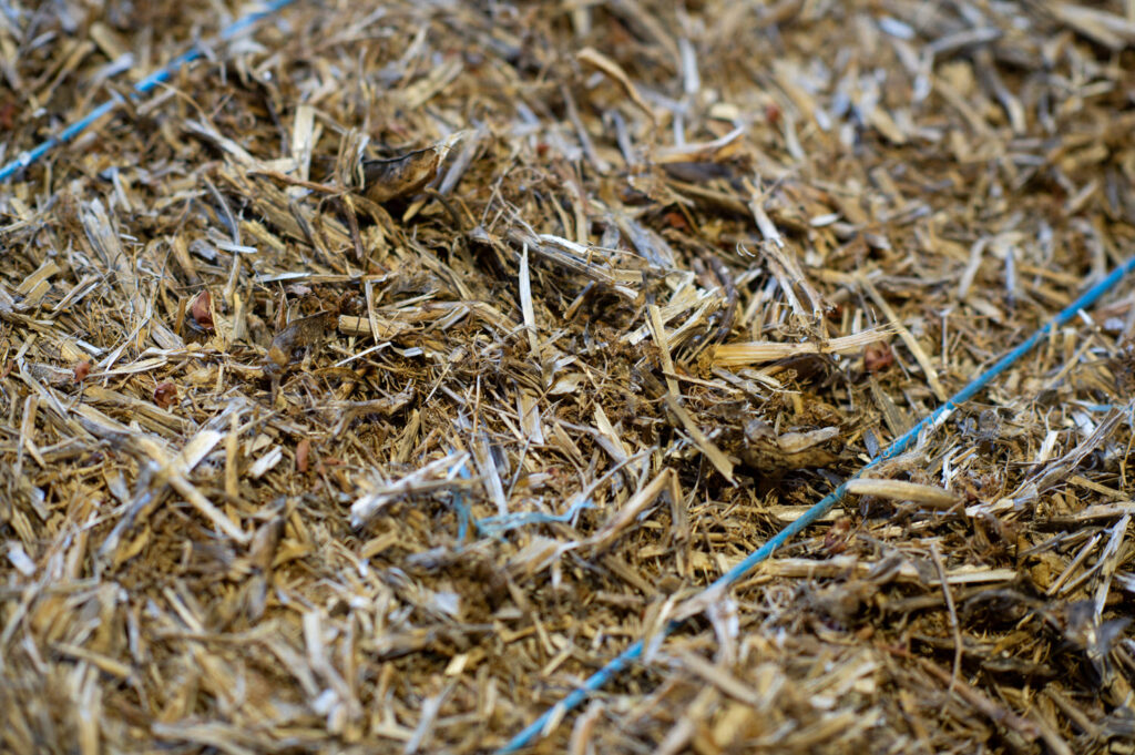 Pea Straw - Buttrose Landscape & Garden Supplies